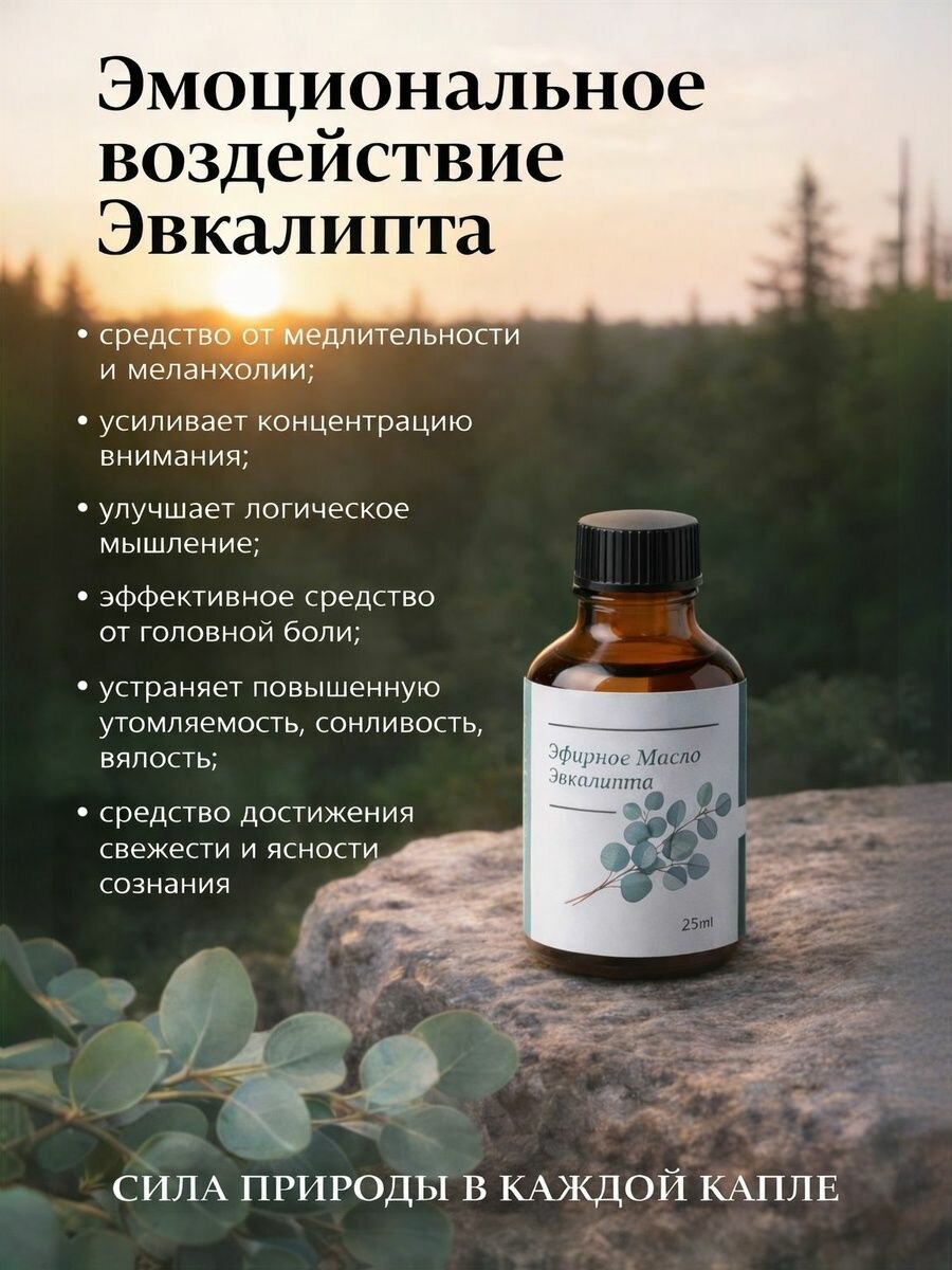 Эфирное масло Эвкалипт 100% ,25 мл, флакон темное стекло с капельницей — фото 1