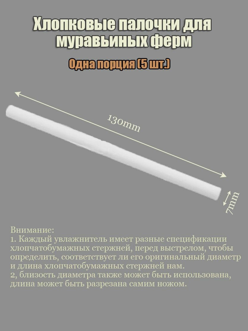 Запасные части для муравьиных ферм, водяные хлопковые палочки для муравьиных ферм 5 шт. (белый)