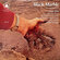 BLACK MARBLE Fast Idol (LP)