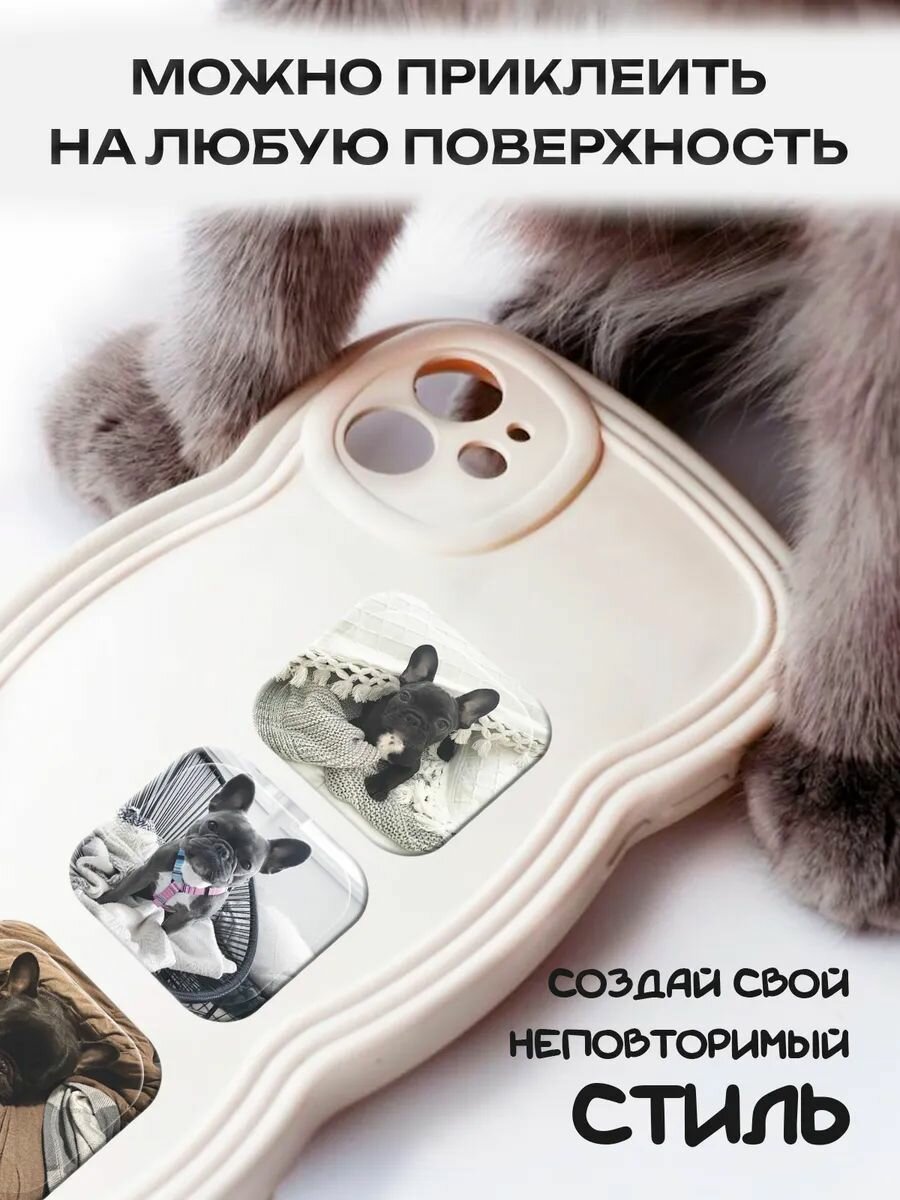 3D стикеры на телефон мопс — фото 1