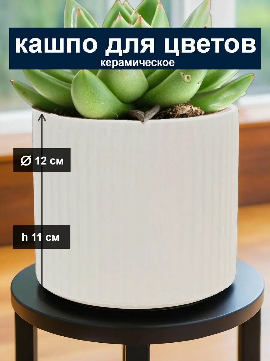 Горшок кашпо для цветов кактусов суккулентов маленькое