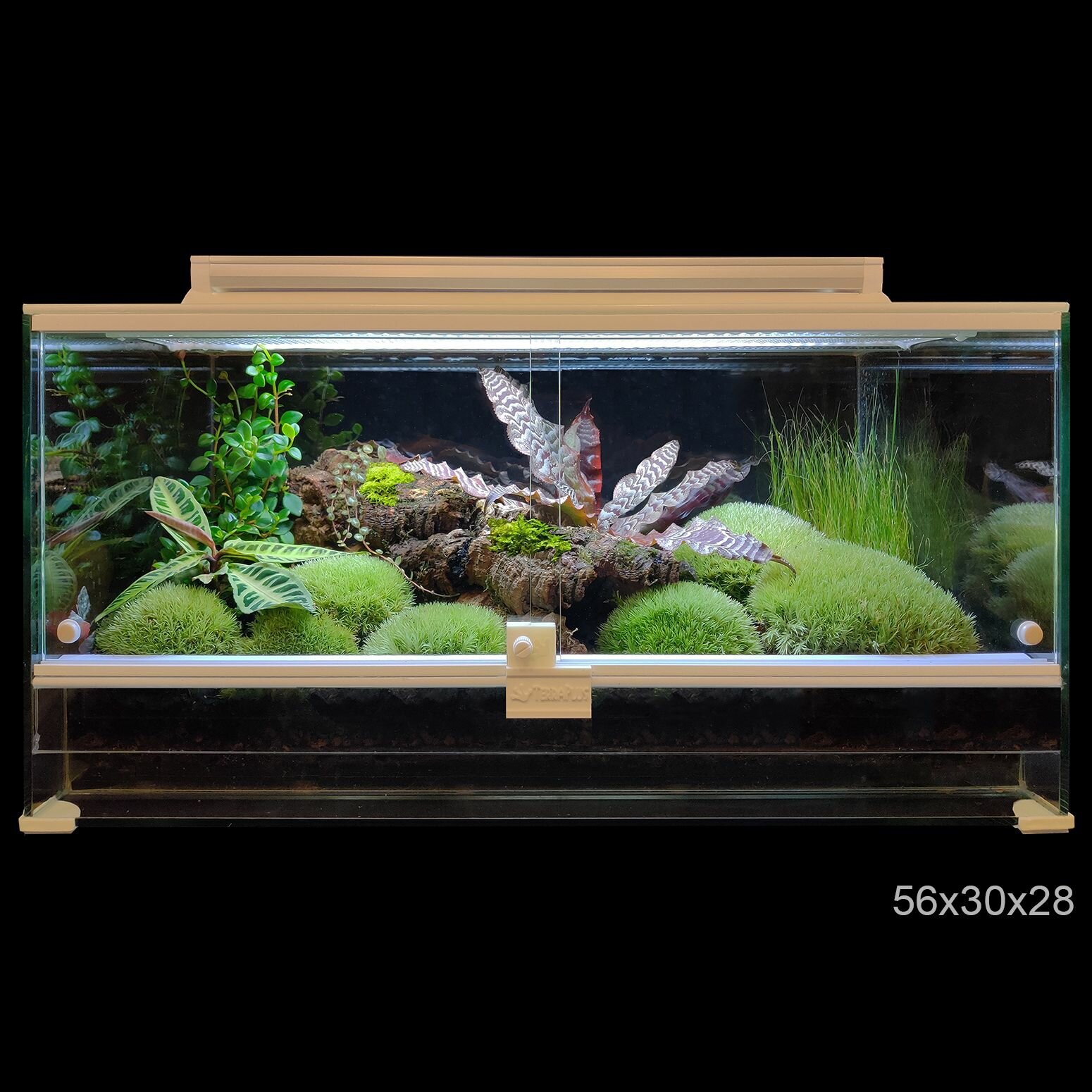 Террариум для рептилий, геккона эублефара, змеи, ящерицы, из стекла (Д56*Ш30*В28)