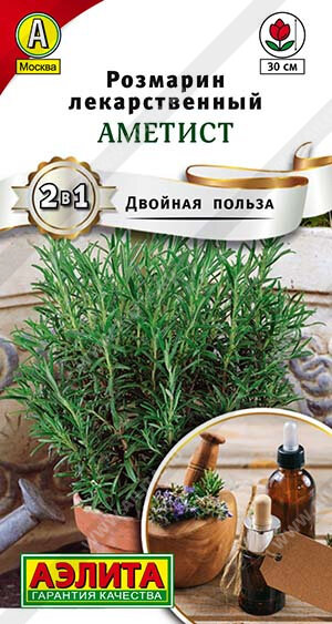 Розмарин Аметист