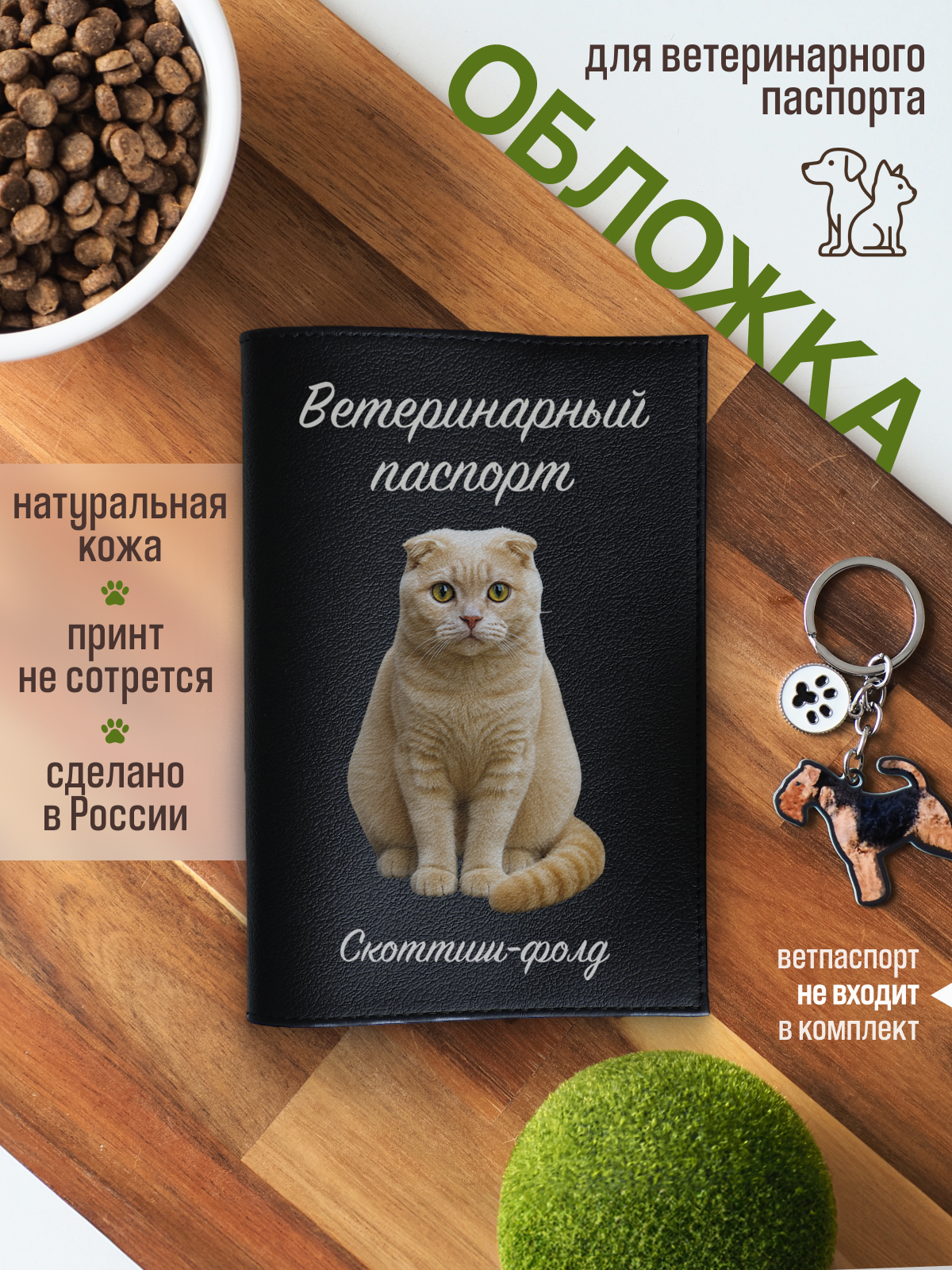 Обложка на ветеринарный паспорт для кошек с принтом Скоттиш-фолд