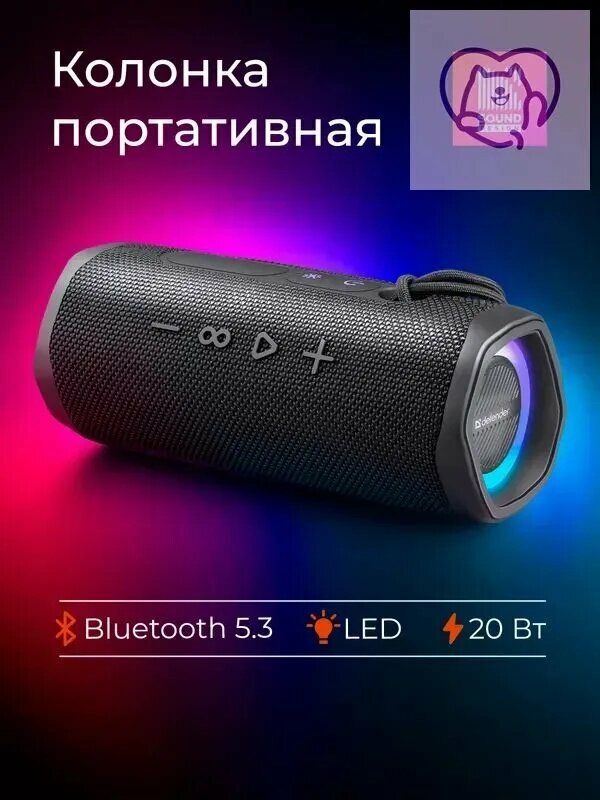 Колонка блютуз беспроводная ENJOY S800, 20 Вт, bluetooth, FM, USB, AUX, Type-C