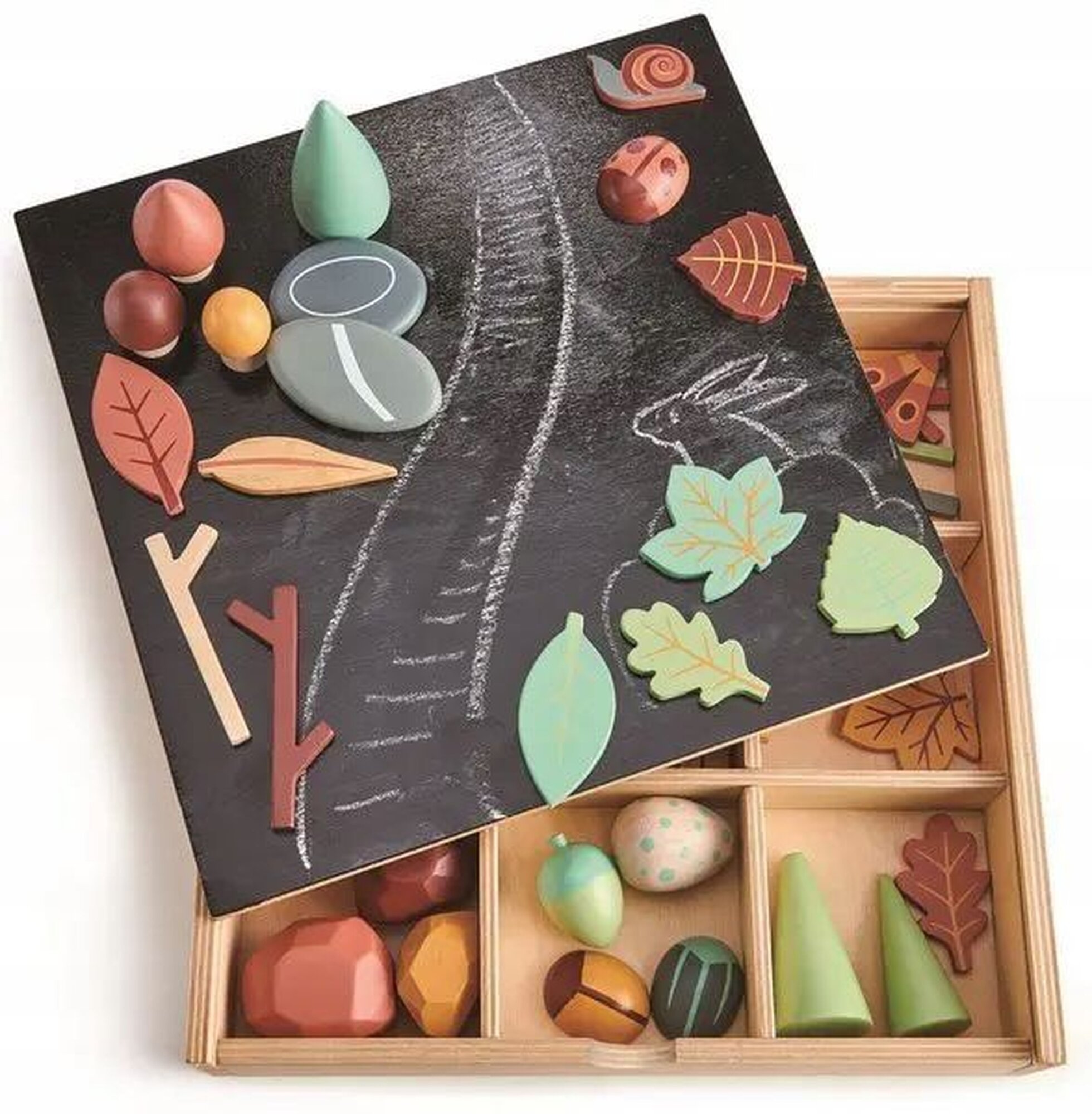Набор деревянных игрушек Tender Leaf Toys - " Лесные сокровища", 50 эл. - TL8369