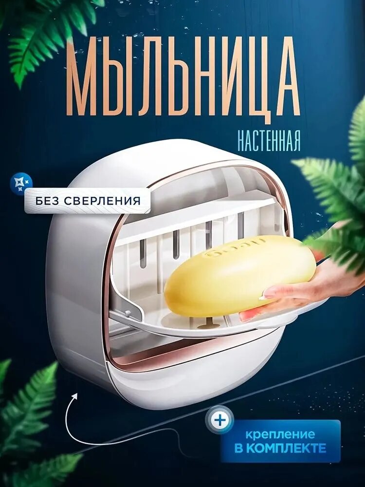 Мыльница