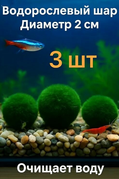 3 кусочка моховых шариков диаметром 2 см