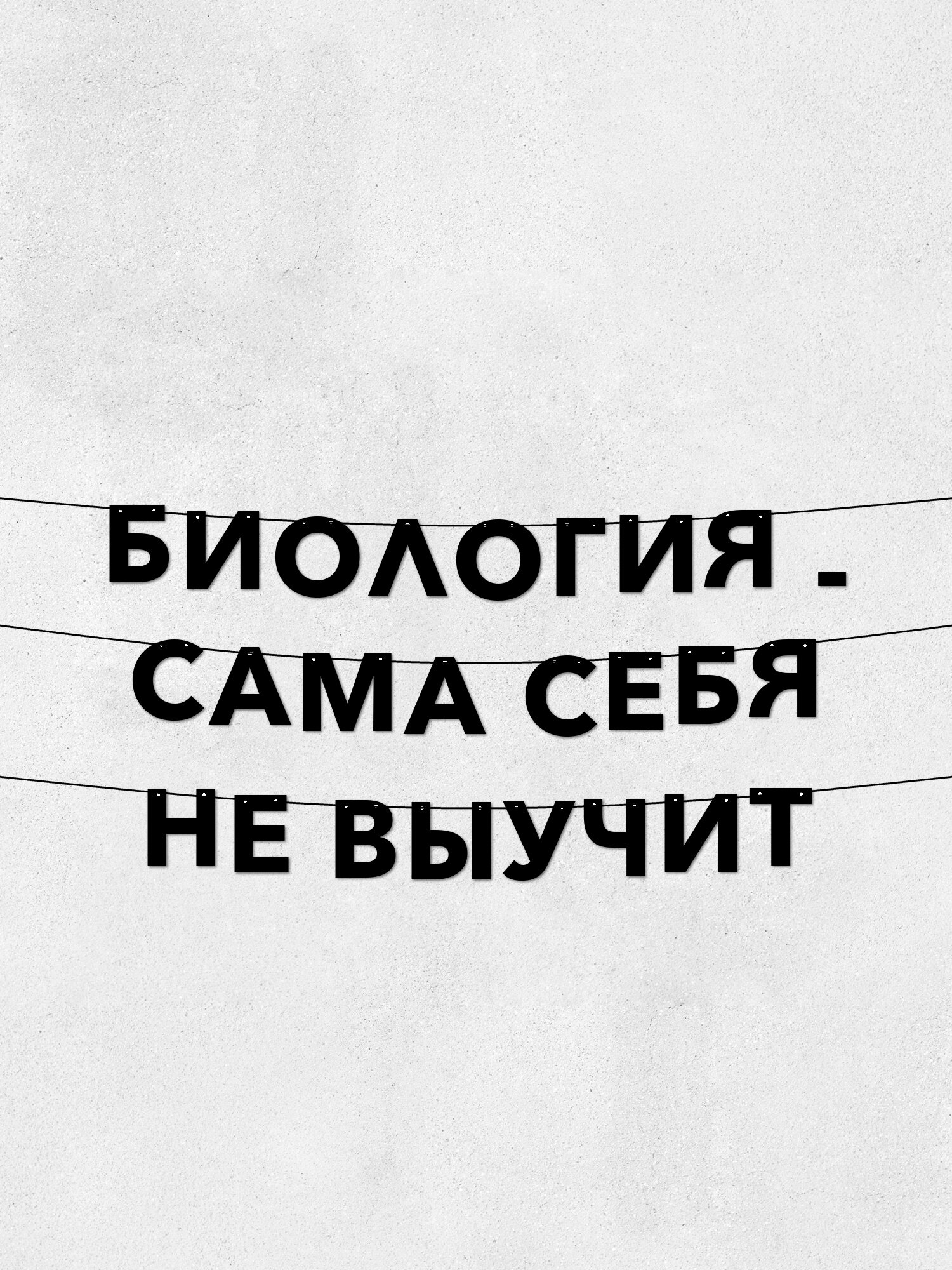 Гирлянда из букв Биология - сама себя не выучит Долговечный декор для школы, фотосессий и образовательных мероприятий