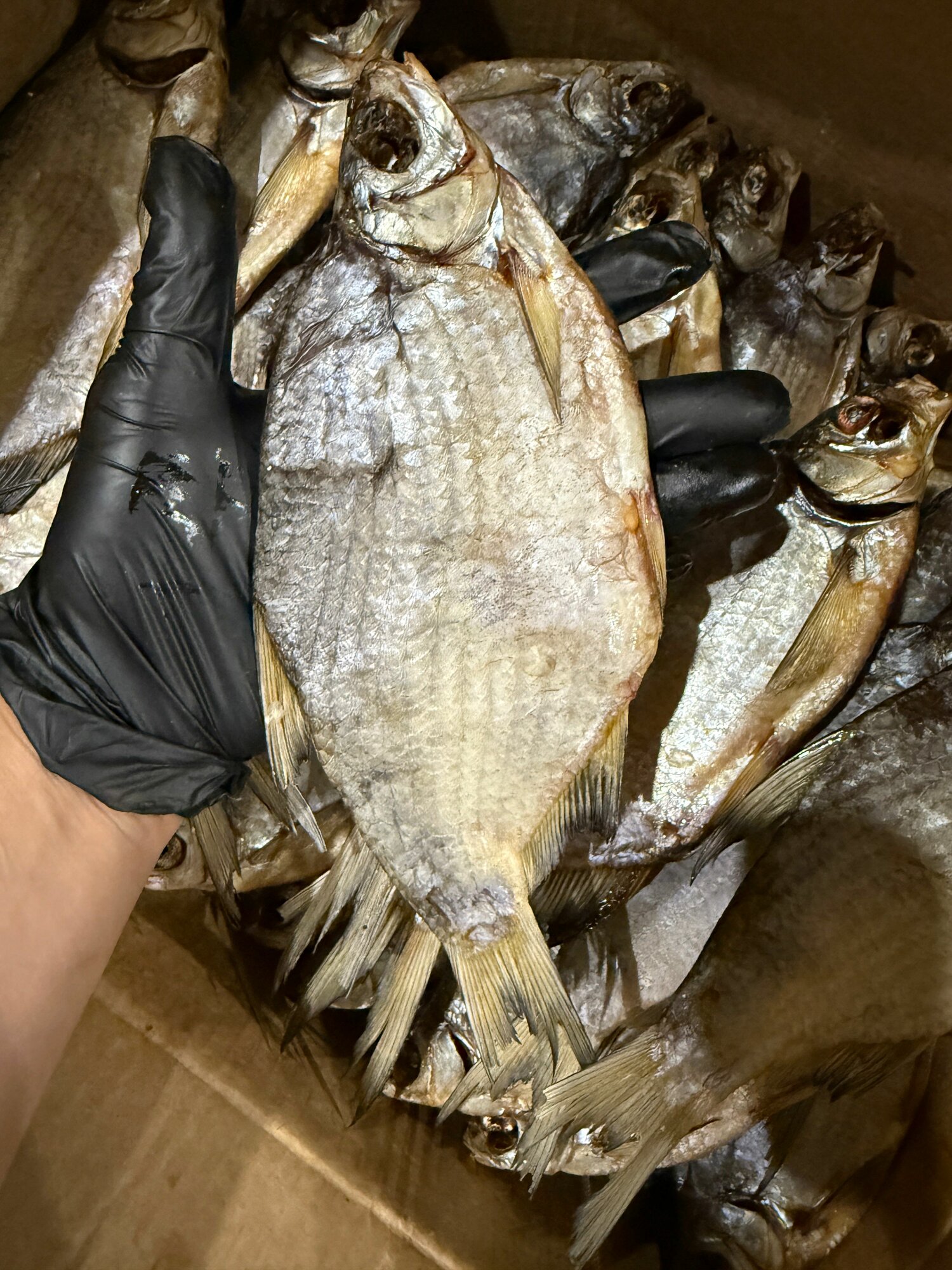 Снеки из рыбы и морепродуктов: Тарань 1 кг Тарань 1 кг - это снек из рыбы и морепродуктов — фото 1