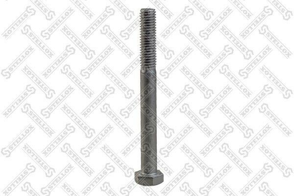 Болт крепления форсунки STELLOX 79-21004-SX M8x1.25x80 Iveco Daily