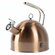 Чайник BERGNER BG-37307-CP