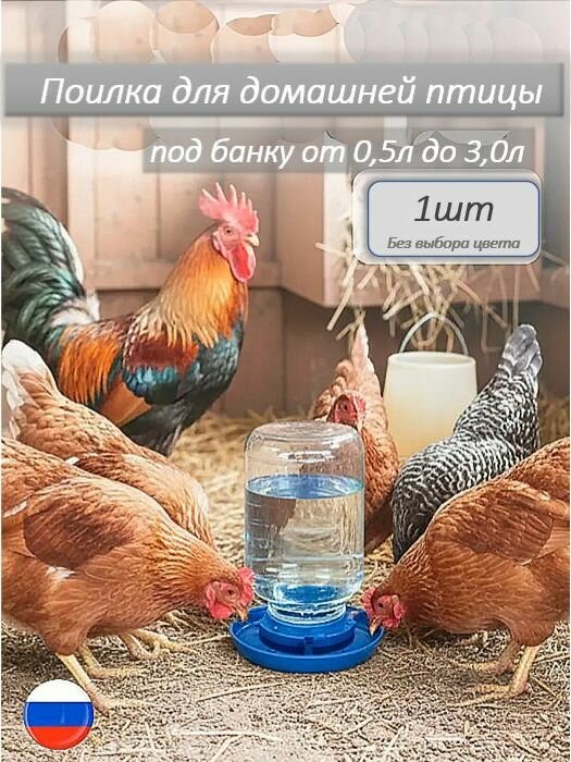 Поилка для птиц
