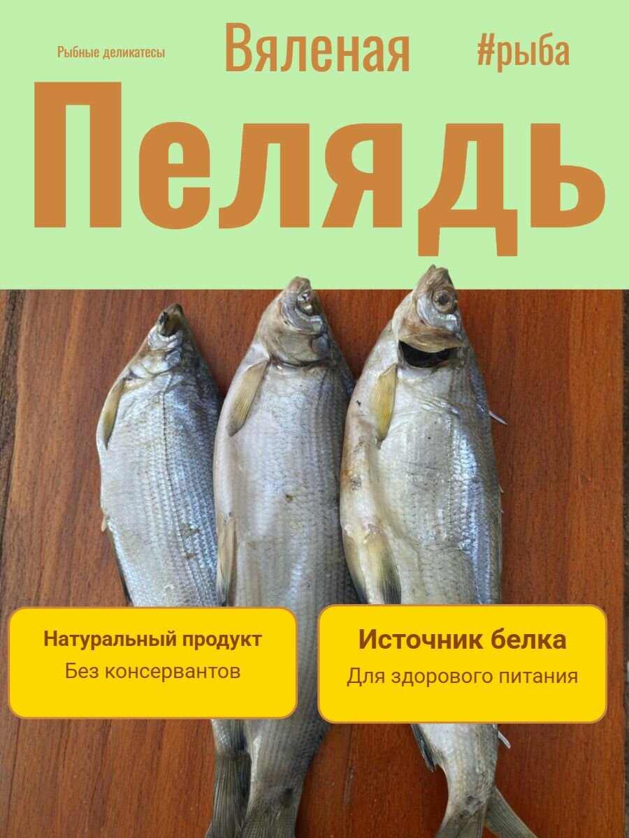 Рыба Пелядь вяленая северная 600 грамм