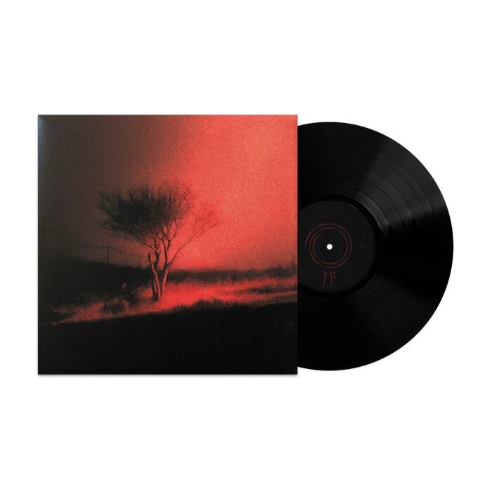 Виниловая пластинка Joji - Piss In The Wind /> Vinyl, LP, Album, Stereo