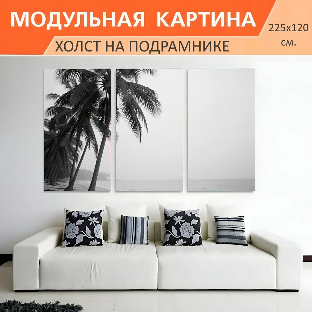 Модульная картина на холсте "Тропический берег с пальмами. Монохромный морской пейзаж с высокими кокосовыми деревьями, пустынным." триптих на подрамнике 225х120 см. для интерьера