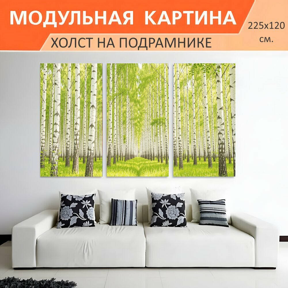 Модульная картина на холсте "Берёзовая роща с зелёной травой. Светлый природный пейзаж с высокими стройными стволами и молодой." триптих на подрамнике 225х120 см. для интерьера