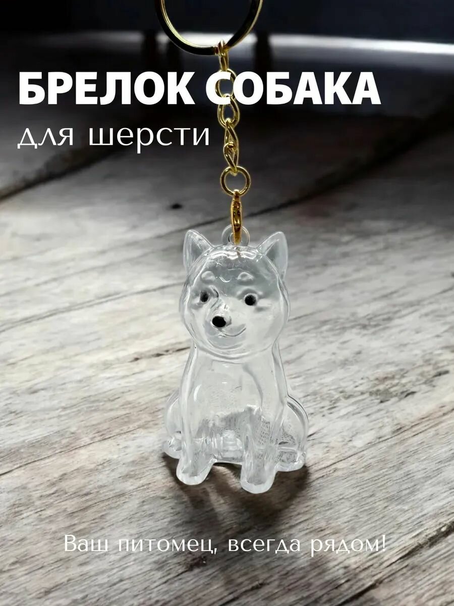 Брелок капсула для шерсти Шпиц. Брелок капсула для шерсти Шпиц