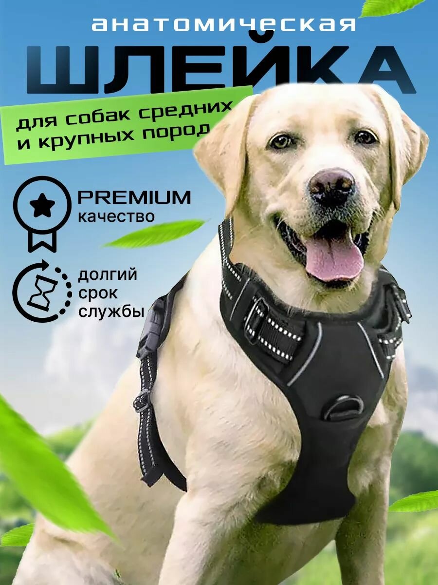Шлейка прогулочная с поводком для кошек и мелких собак, деним, светоотражатели,