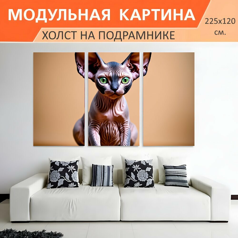 Модульная картина на холсте "Котёнок сфинкс с серо-чёрными морщинами на теле, большими ушами и зелёными глазами, сидящий на." триптих на подрамнике 225х120 см. для интерьера