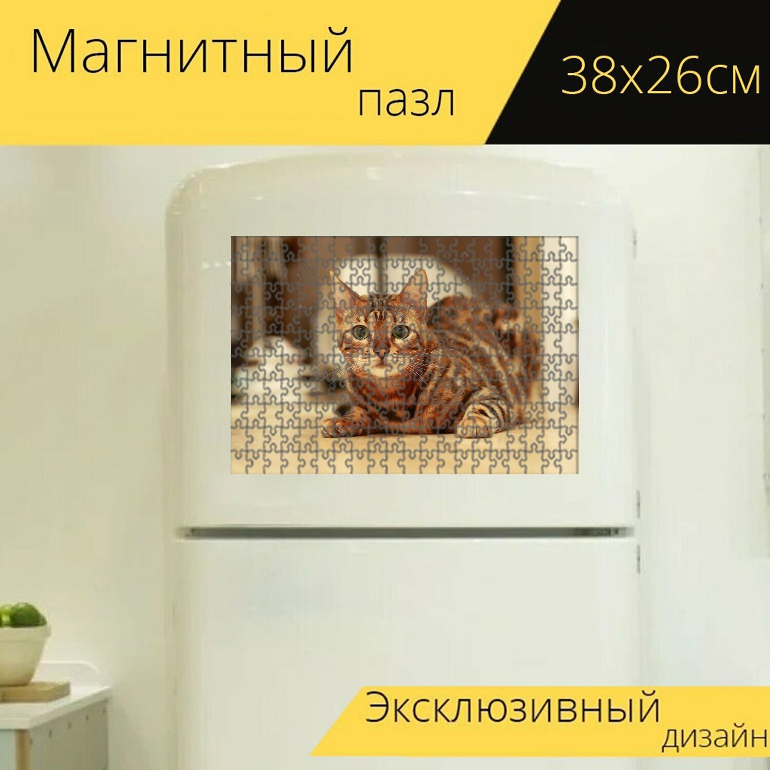 Магнитный пазл "Кошка, бенгал, бенгальская кошка" для интерьера, 38х26 см.
