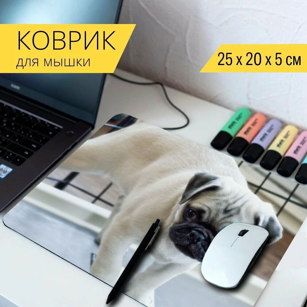 Коврик для мыши с принтом "Щенок на мочке Щенок мопса на мочке мопс щенок собака домашнее животное животное молодой обучение пи-пи подушка общественное достояние" 25x20см.