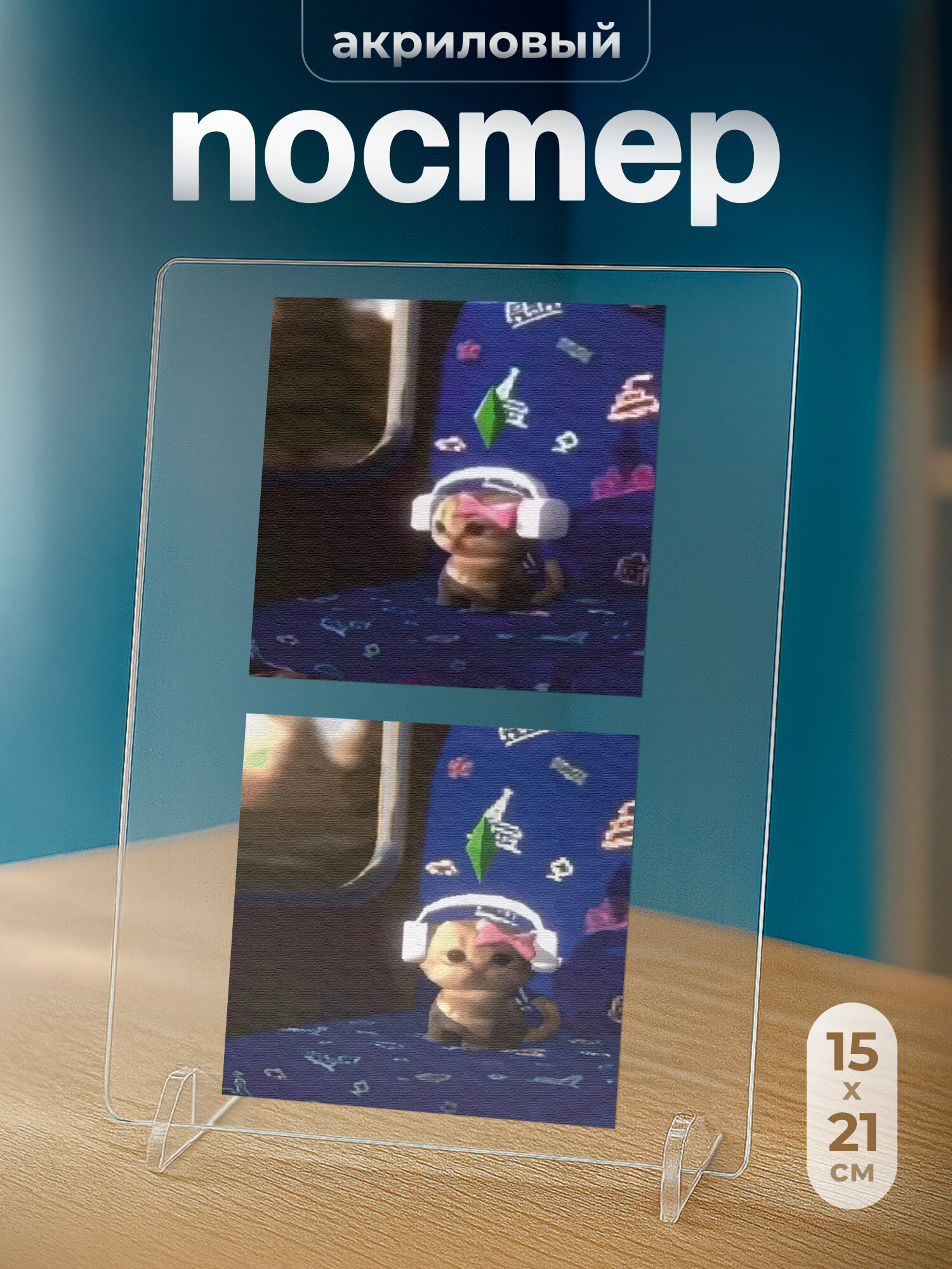 Постер акриловый котик в наушниках мем