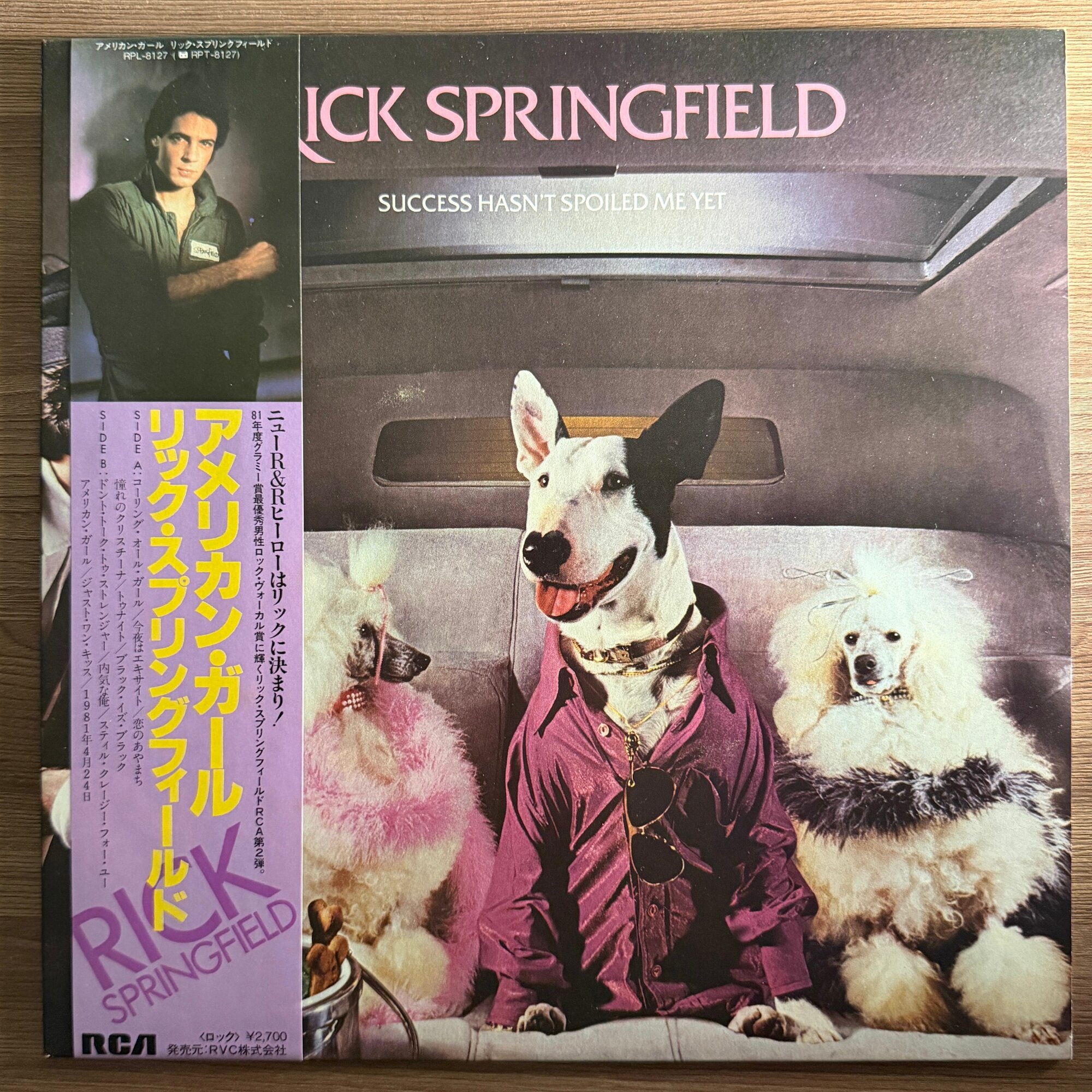 Виниловая пластинка Rick Springfield Success Hasn't Spoiled Me Yet (Япония 1982г.)