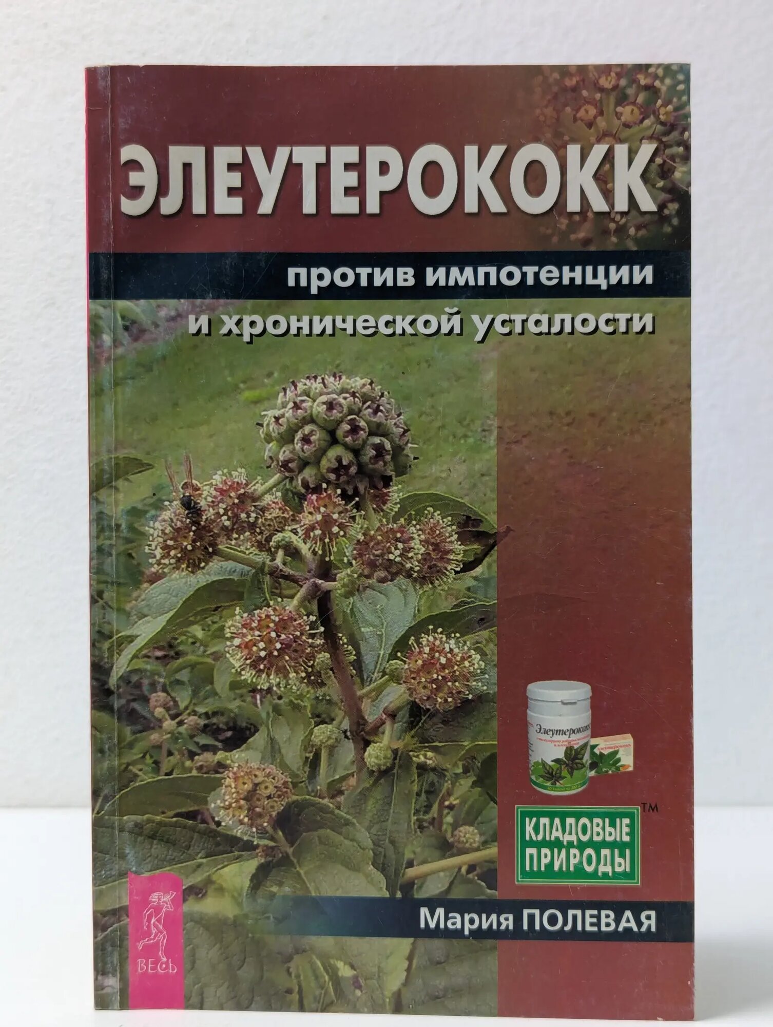 Кладовые природы. Элеутерококк против импотенции и хронической усталости Полевная Мария 2006