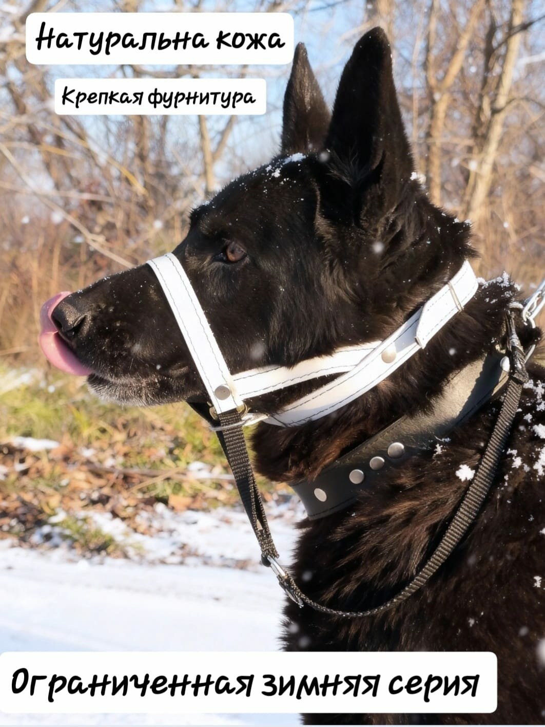 Недоуздок (Халти) корректор с поводком-перестежкой, намордник для тренировки для собак ApexGut. Обхват морды 24-41 см, шеи 38-64, натуральная кожа