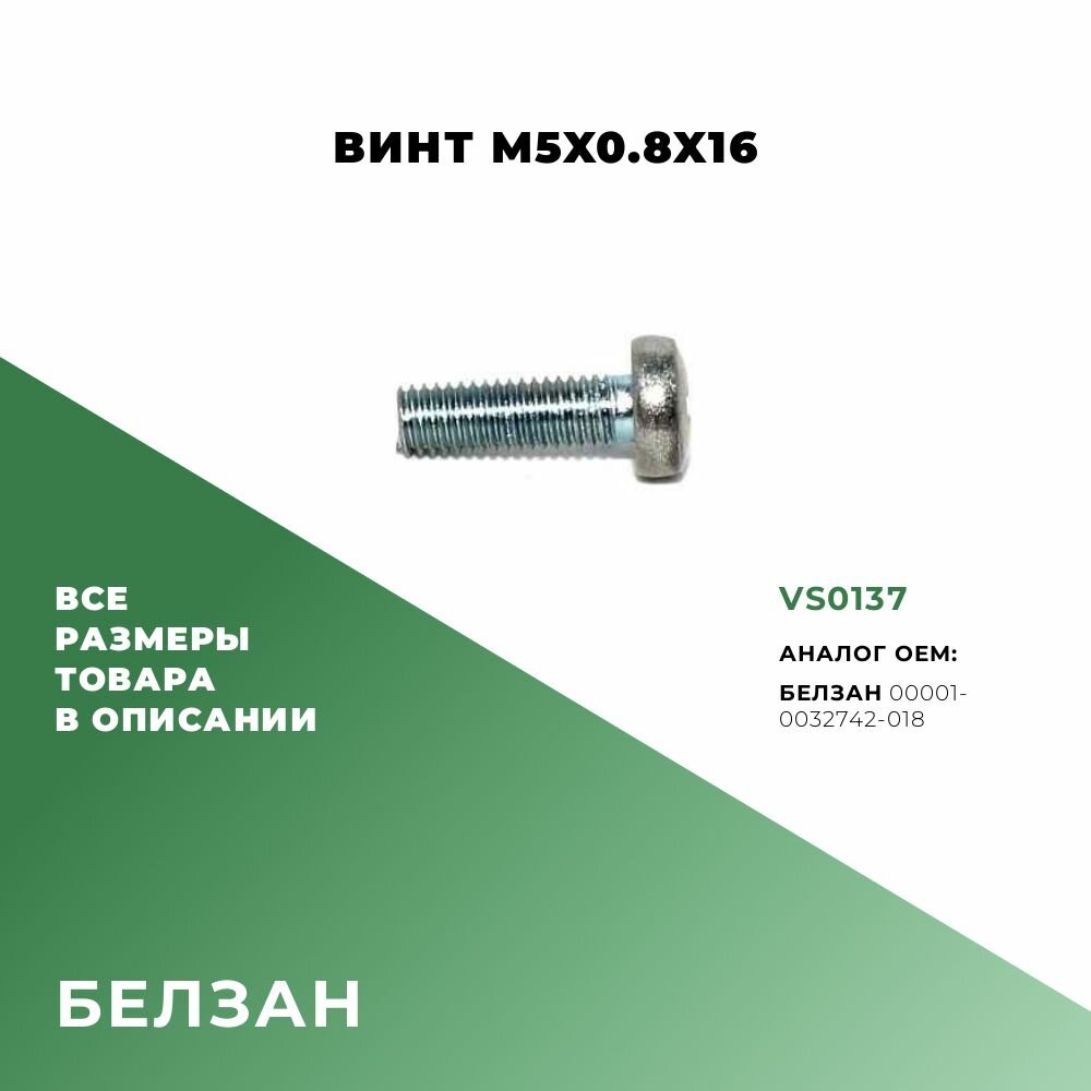 Винт M5х16х0,8; БелЗАН 00001-0032742-018; VS0137 - 10 шт.