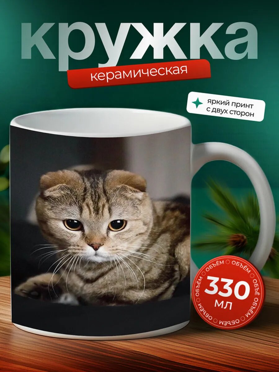 Кружка Ликой короткошерстный кот 18,