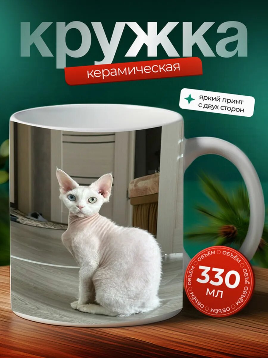 Кружка Девон-рекс кот 25,