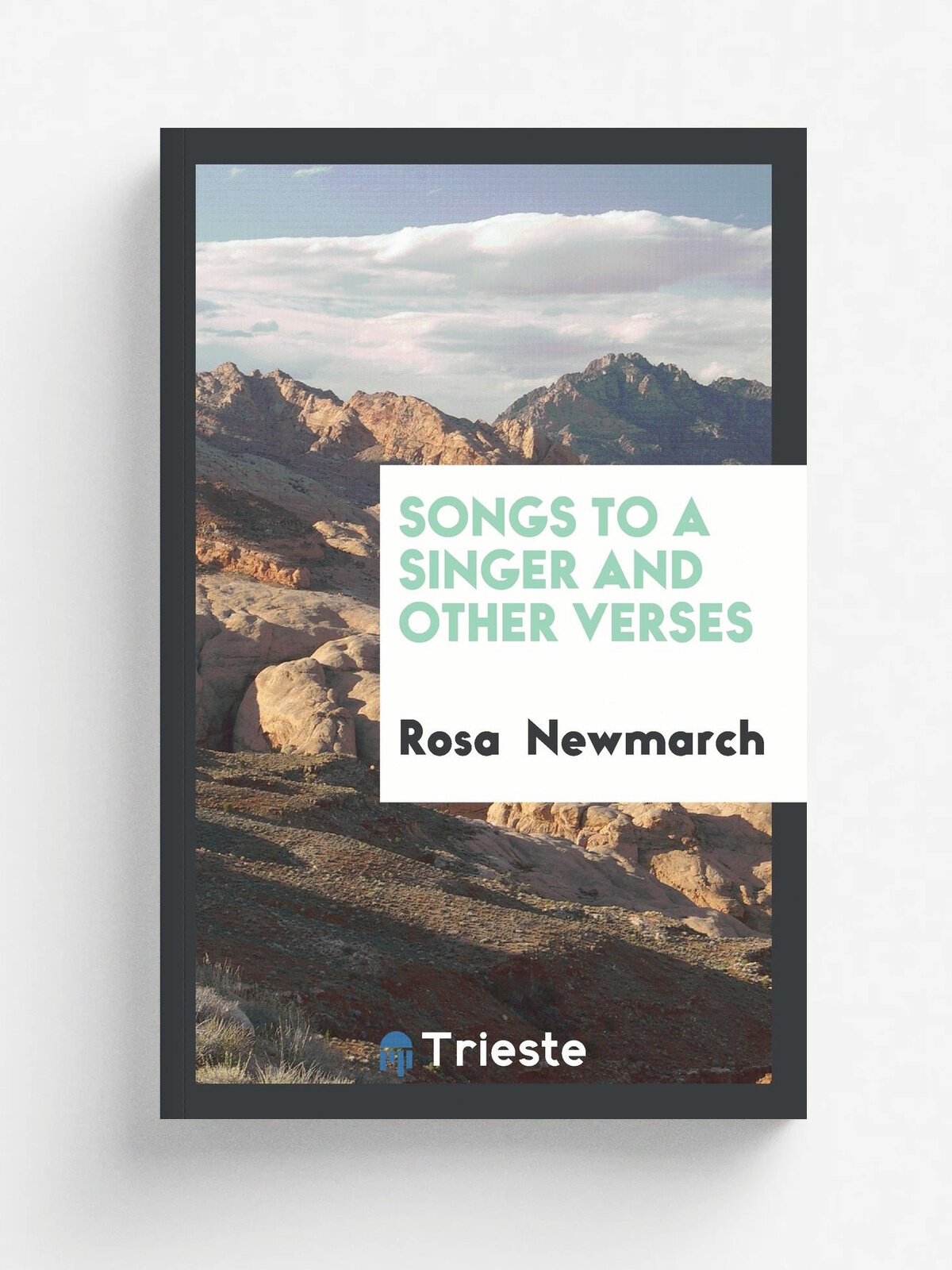Songs to a Singer and Other Verses