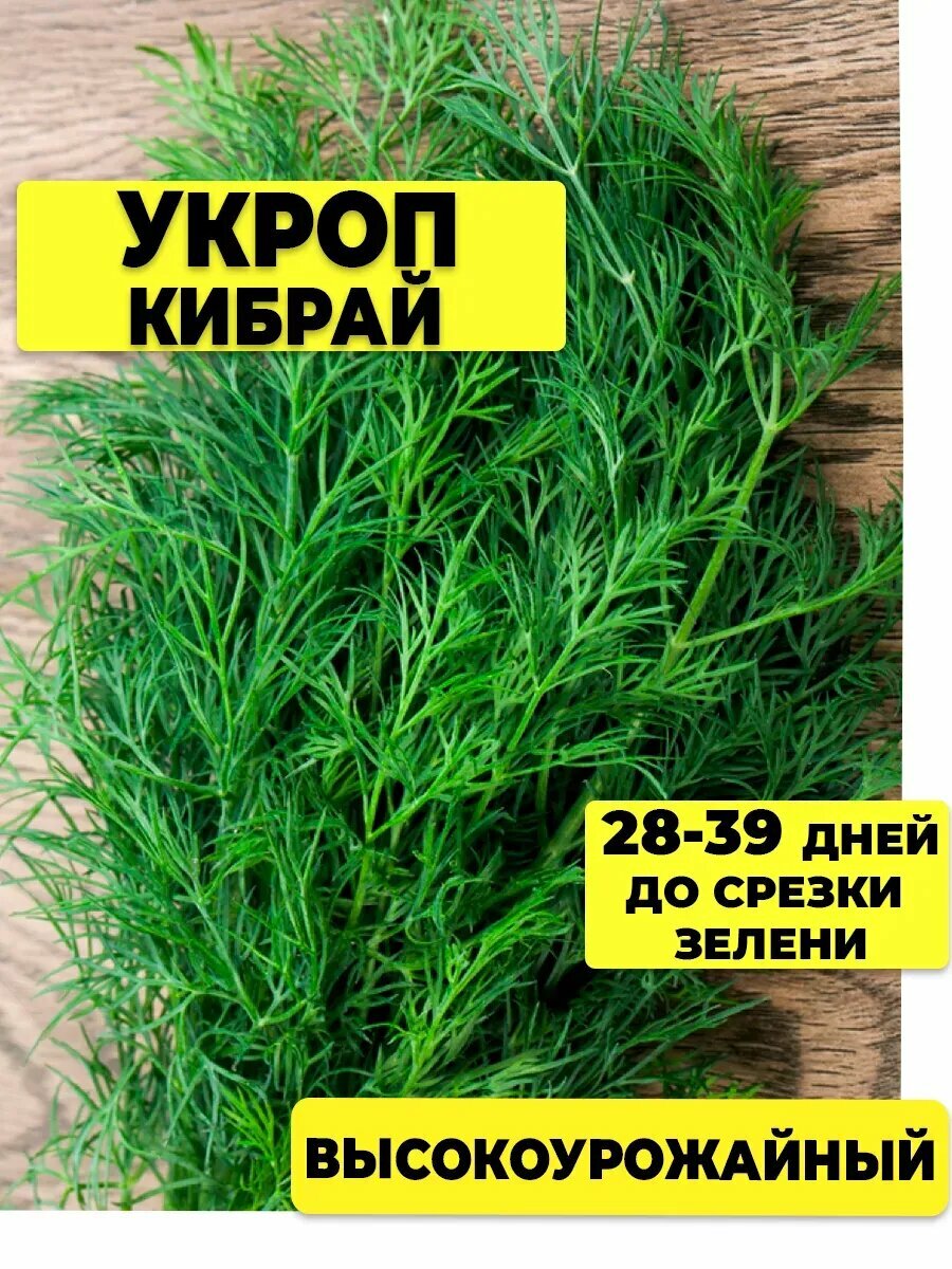 Семена укропа Кибрай, 2 г, на зелень, для открытого грунта, теплицы и дома