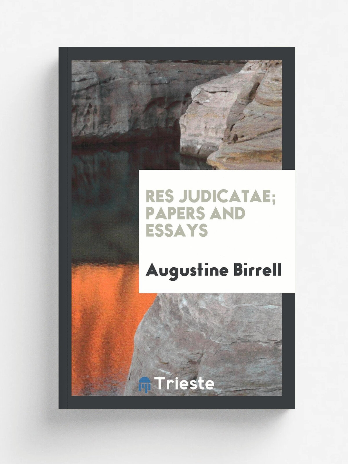 Res judicatae; papers and essays