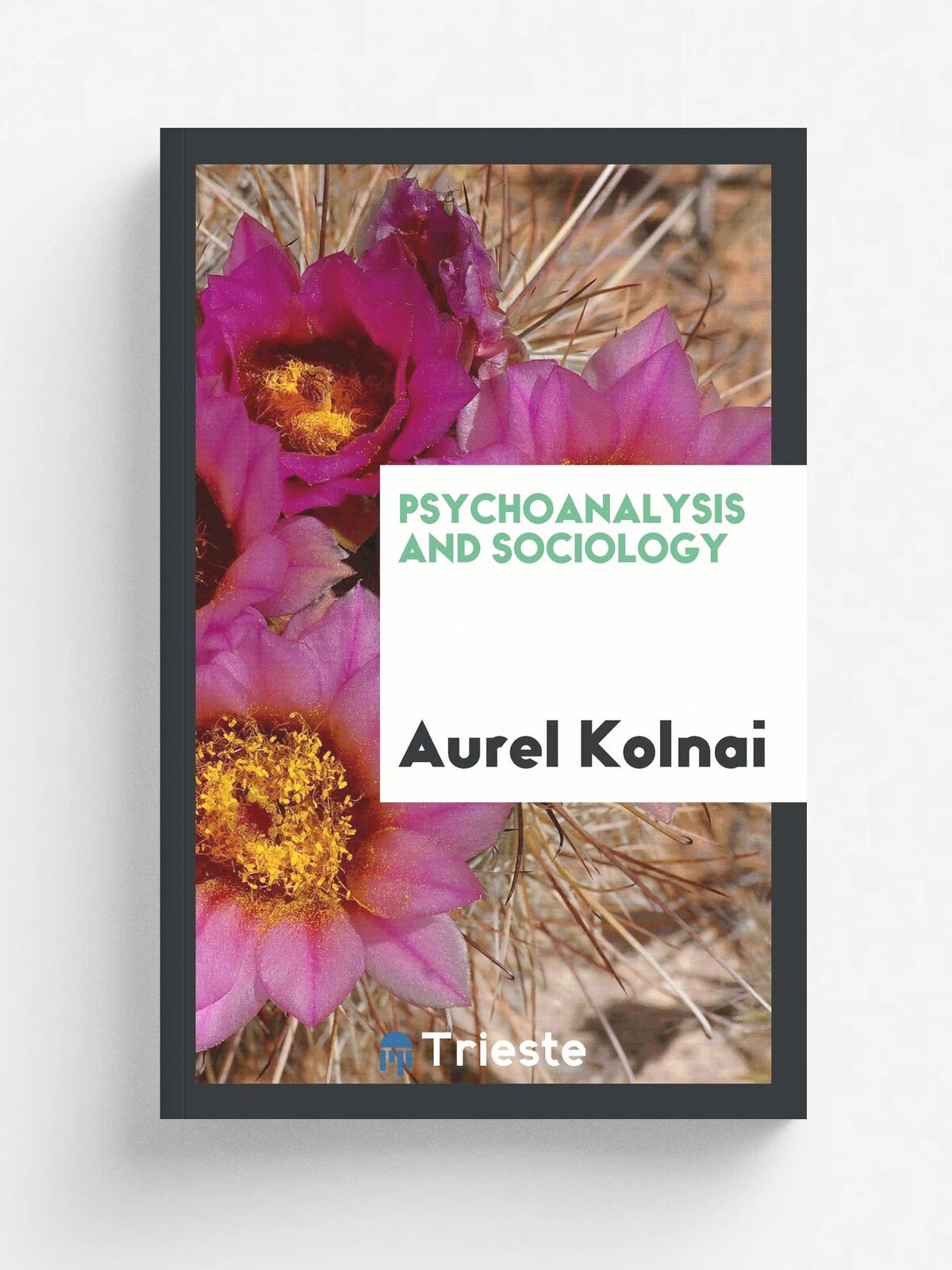 Psychoanalysis and sociology