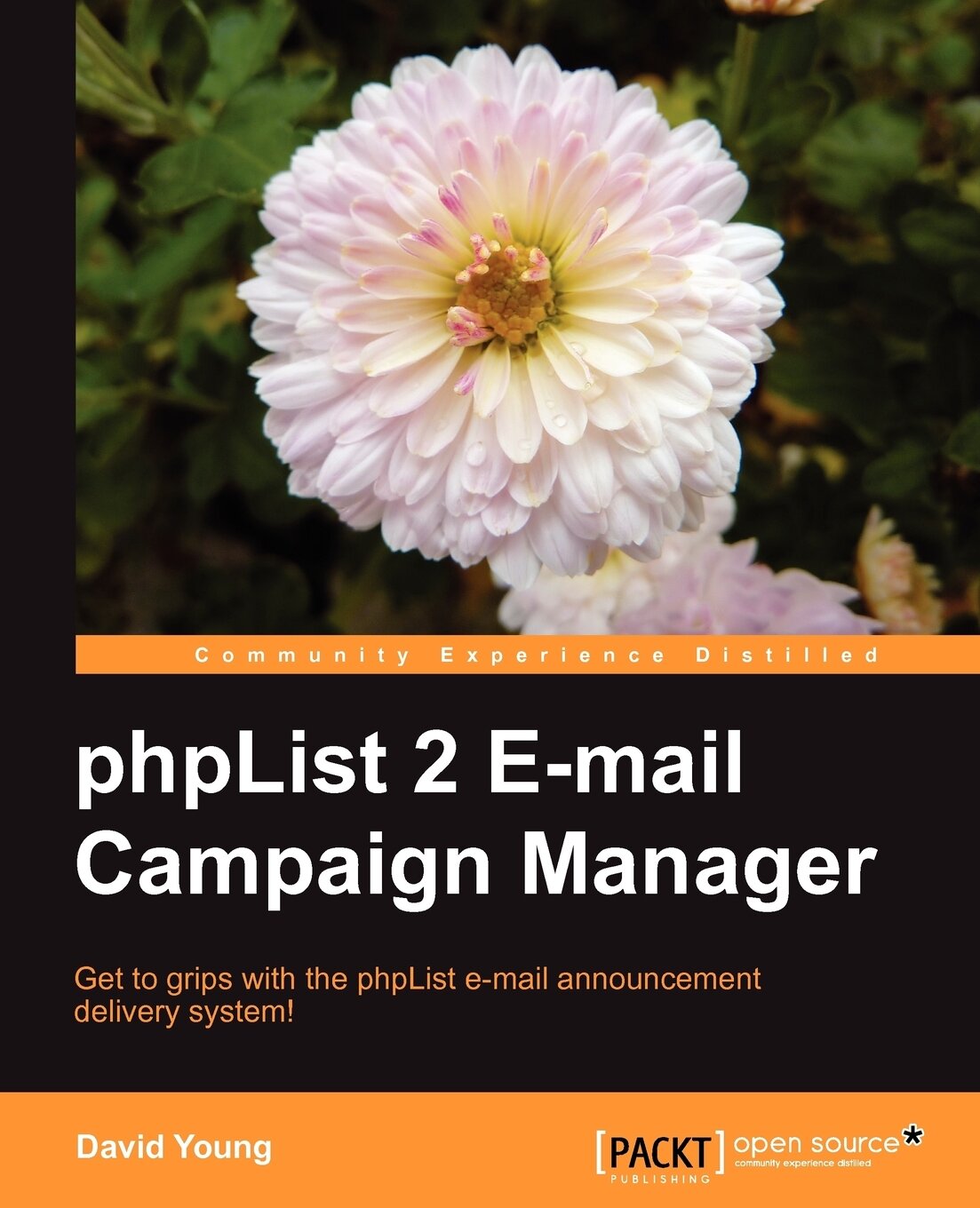 Phplist 2 E-mail Campaign Manager — фото 1