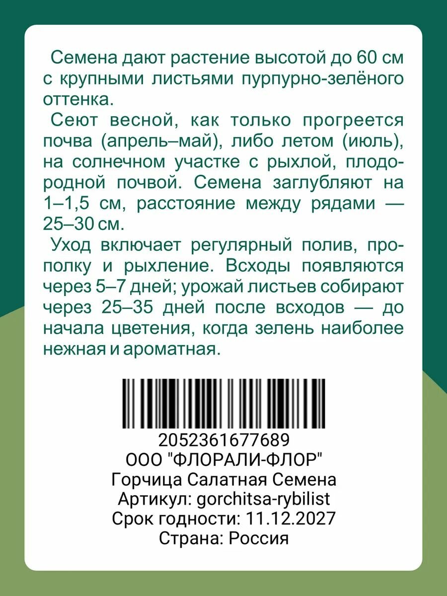 Горчица Салатная Семена — фото 1