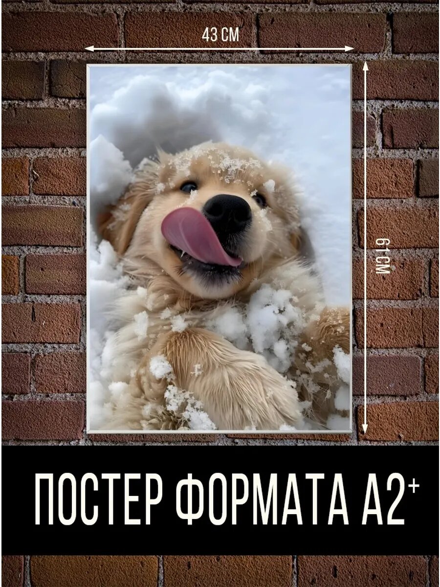Постер формата А2+ с изображением щенка