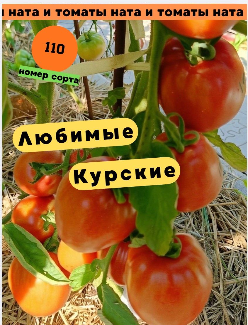 Коллекционные семена томата Любимые Курские 10 шт