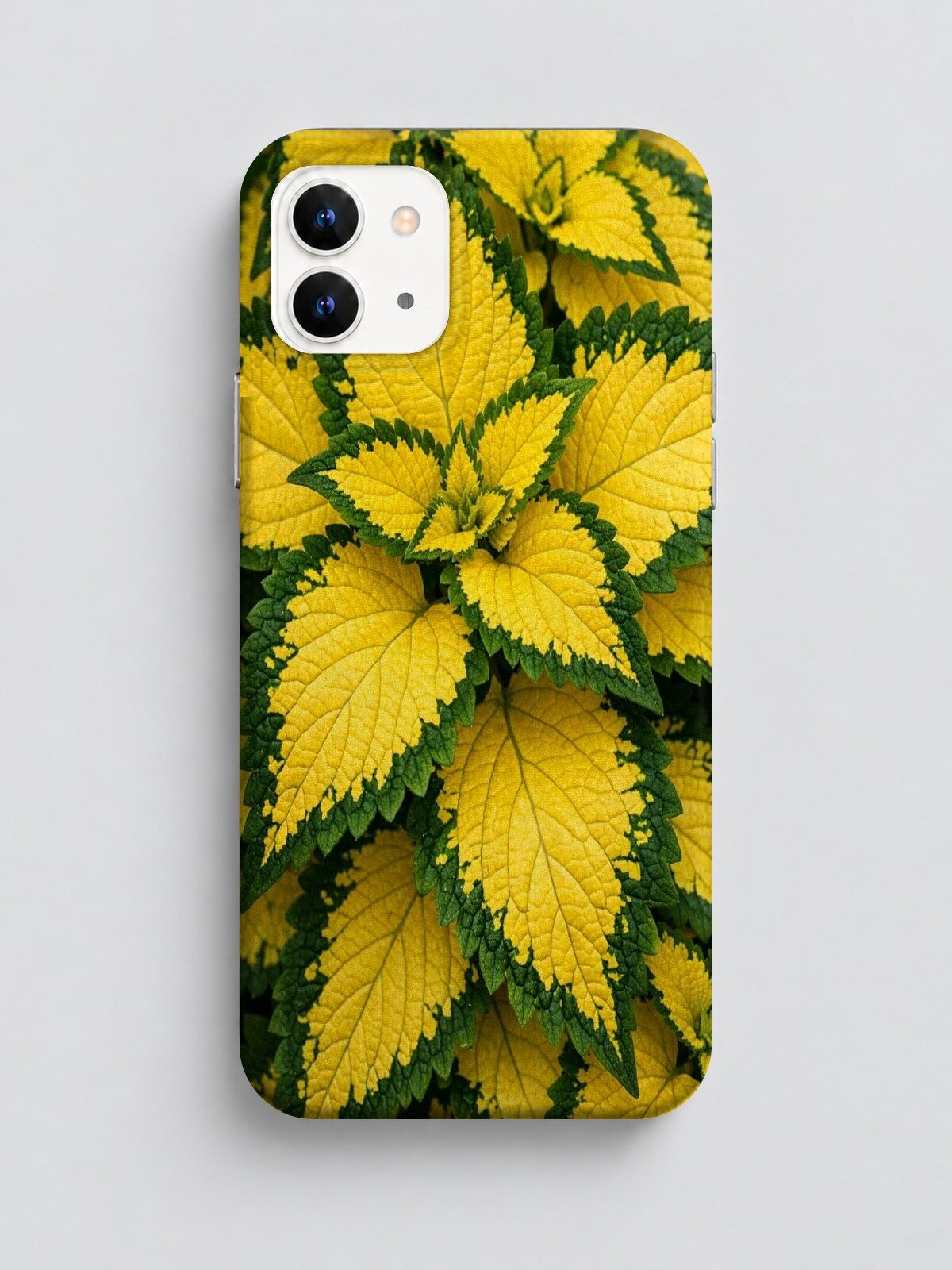 Эстетичный чехол на iphone 12 жёлтый узор колеуса