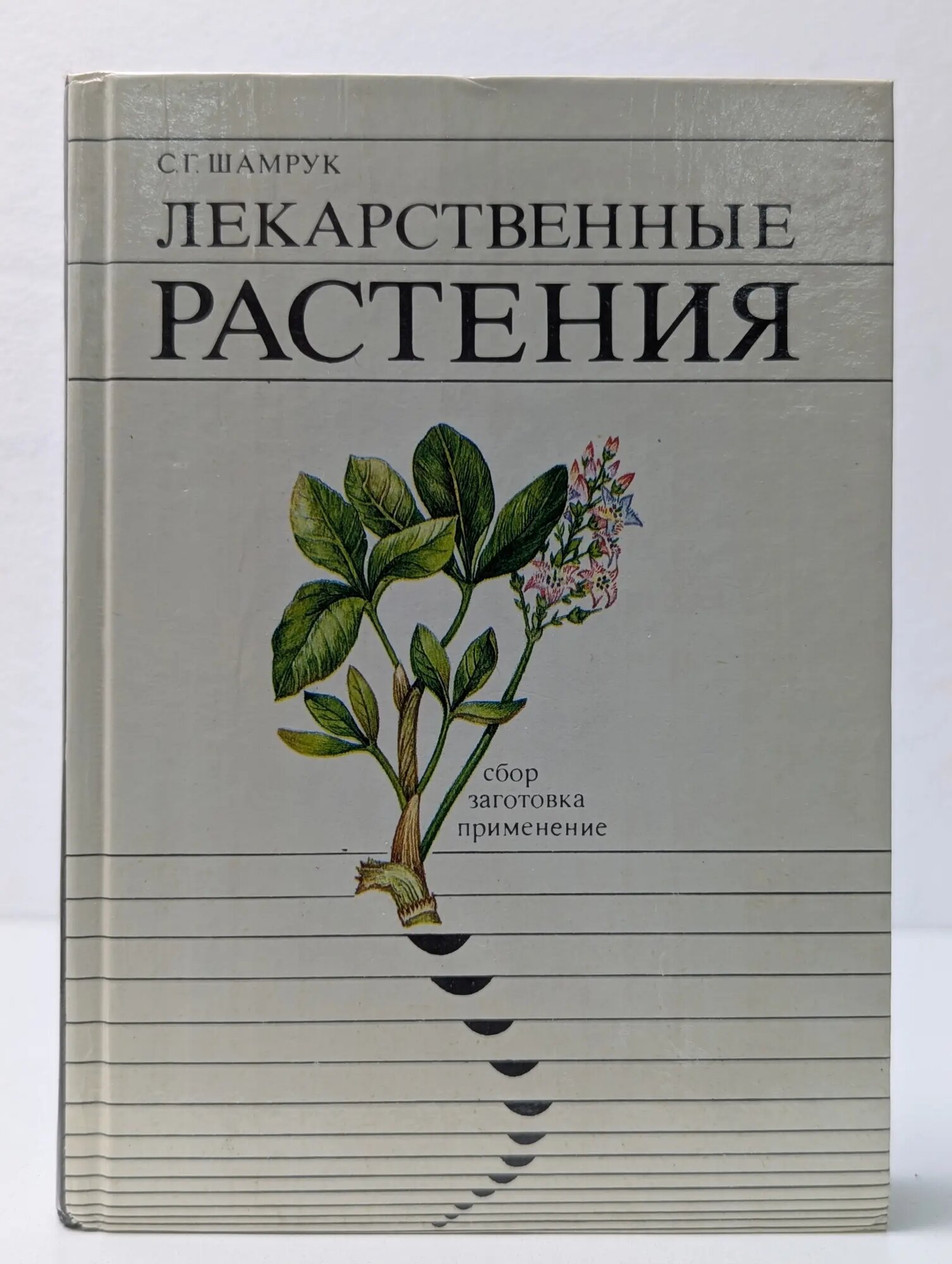 Лекарственные растения: сбор, заготовка, применение Шамрук Сергей Григорьевич 1989