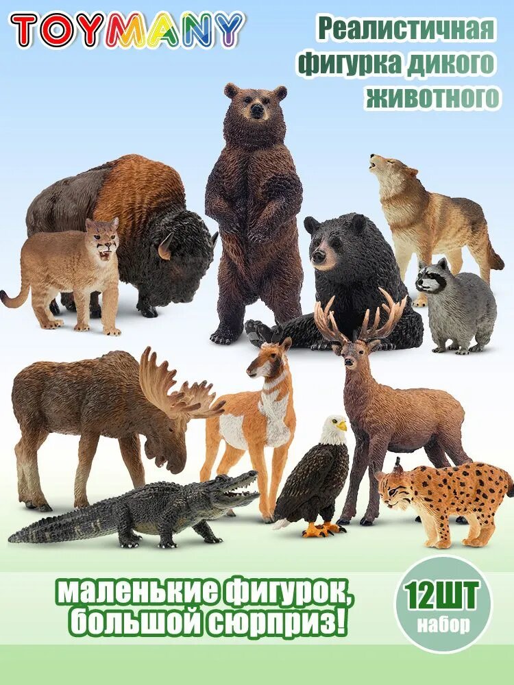 Toymany Набор фигурок животных, 12 шт, Североамериканское лесное животное, подарок для детей