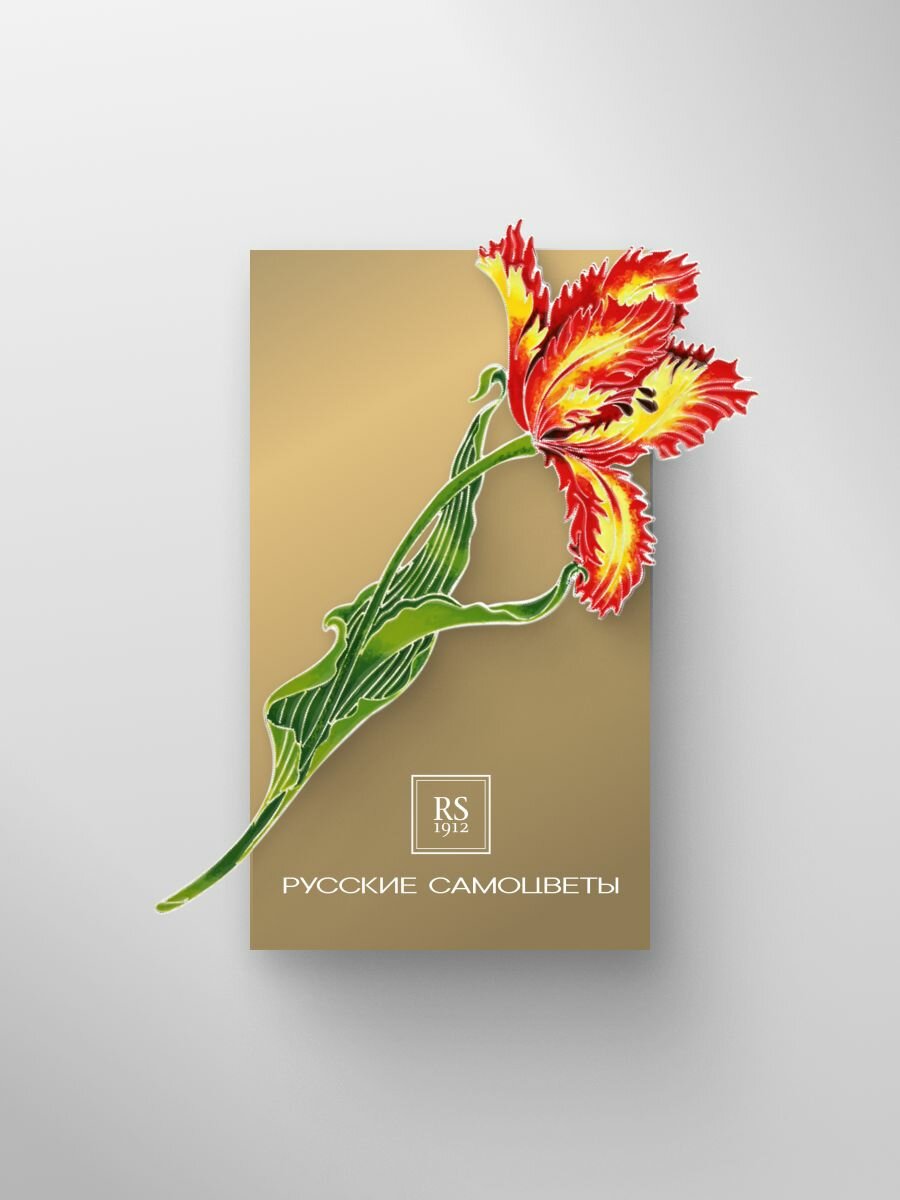 Брошь, серебро, 925 проба, эмаль