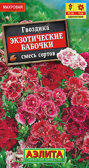 Семена гвоздики Аэлита "Экзотические бабочки", однолетние, холодостойкие