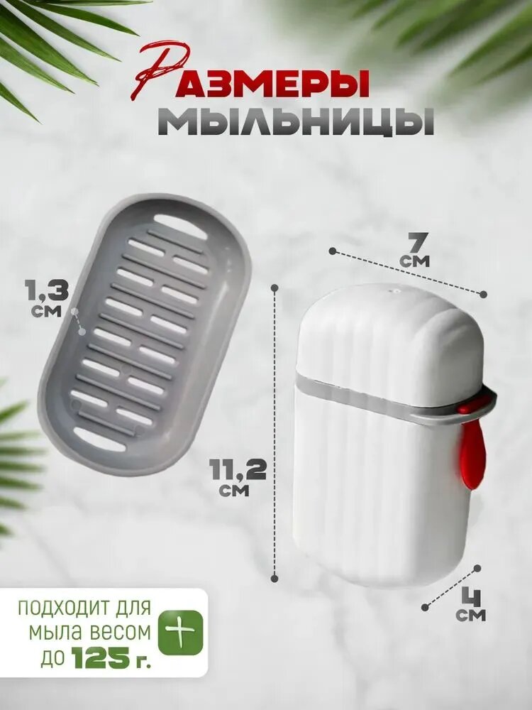 Мыльница — фото 1