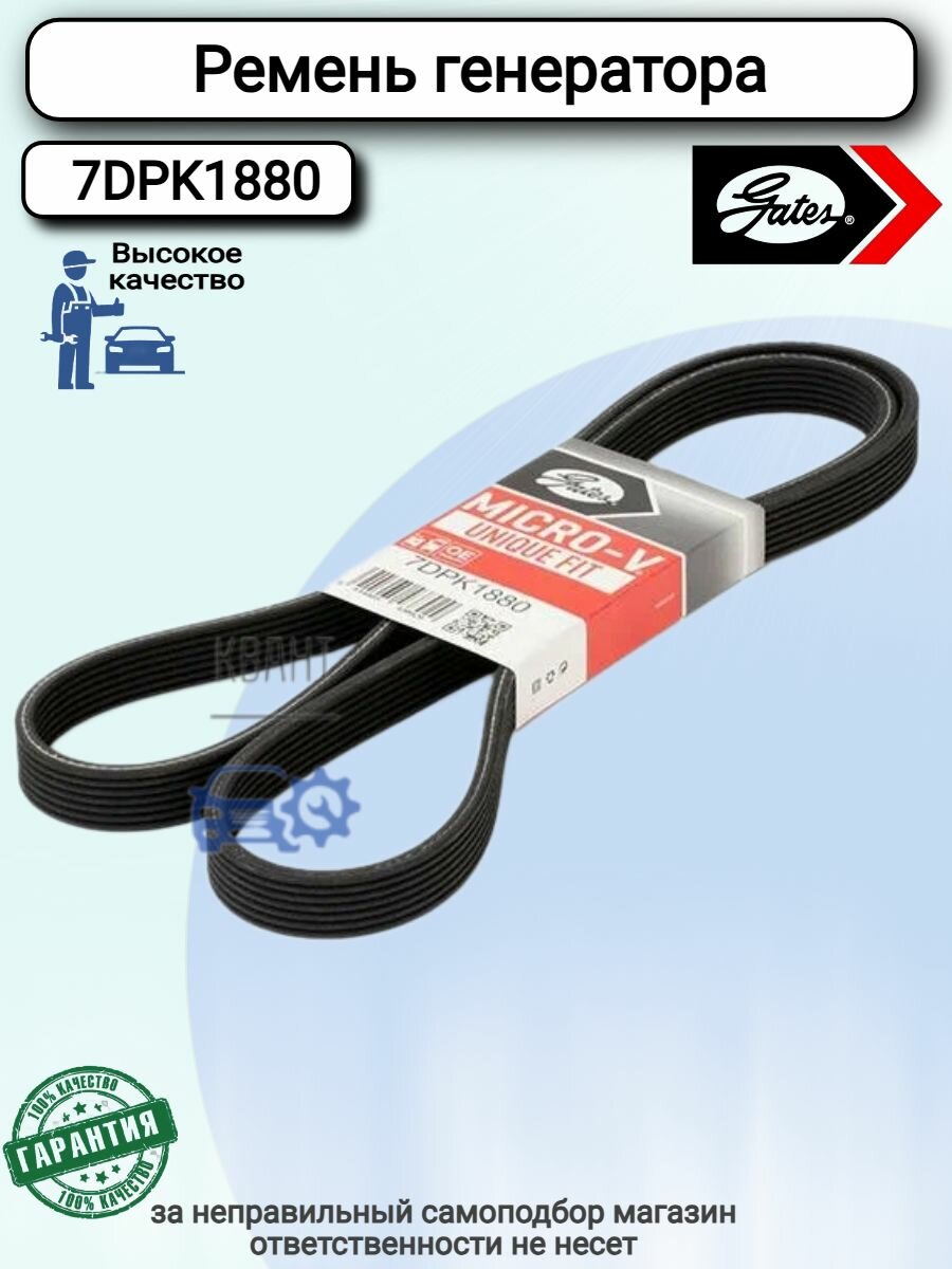 Ремень генератора Gates 7DPK1880 - BMW 5(F07, F10, F11, F18),7(F01, F02, F03, F04), X5(E70), X6(E71) N57D30