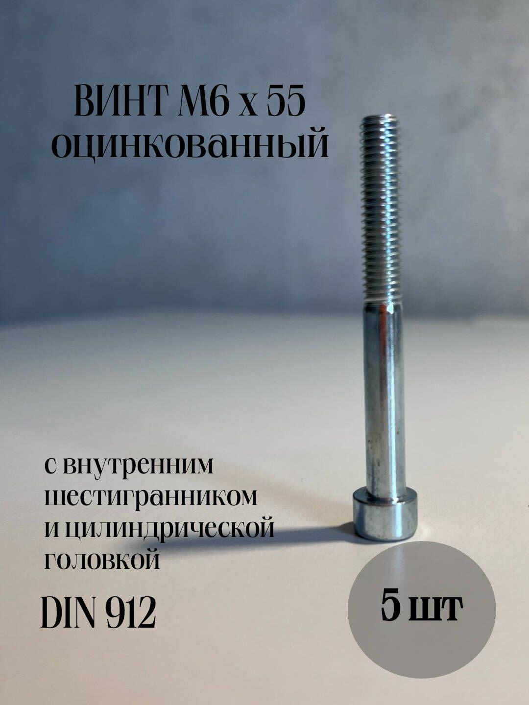 Винт М6 x 6 x 55 мм, головка: Цилиндрическая, 5 шт. 20 г