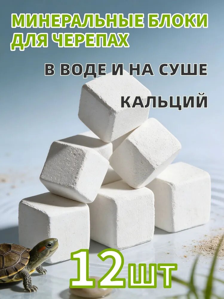 12 Штук Кальциевых Камней, Из Натурального Минерального Кальция, Для Ухода За Рептилиями